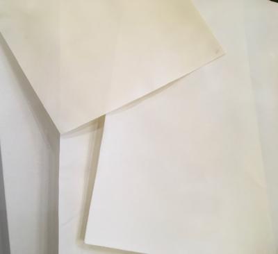 Feuille de parchemin véritable